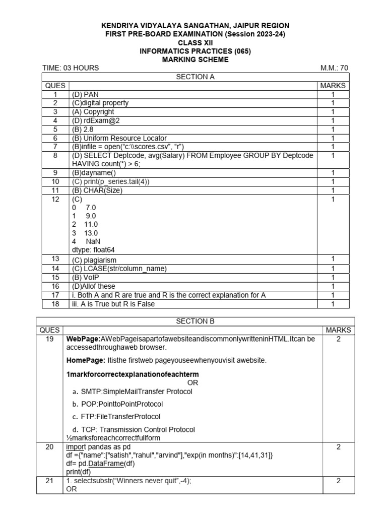 Info Pract Xii Ms PB 1 Set 1 | PDF | Internet Protocols | Internet