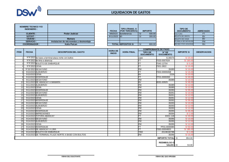 Formato Unico de Liquidaciones DSW - 2 | PDF