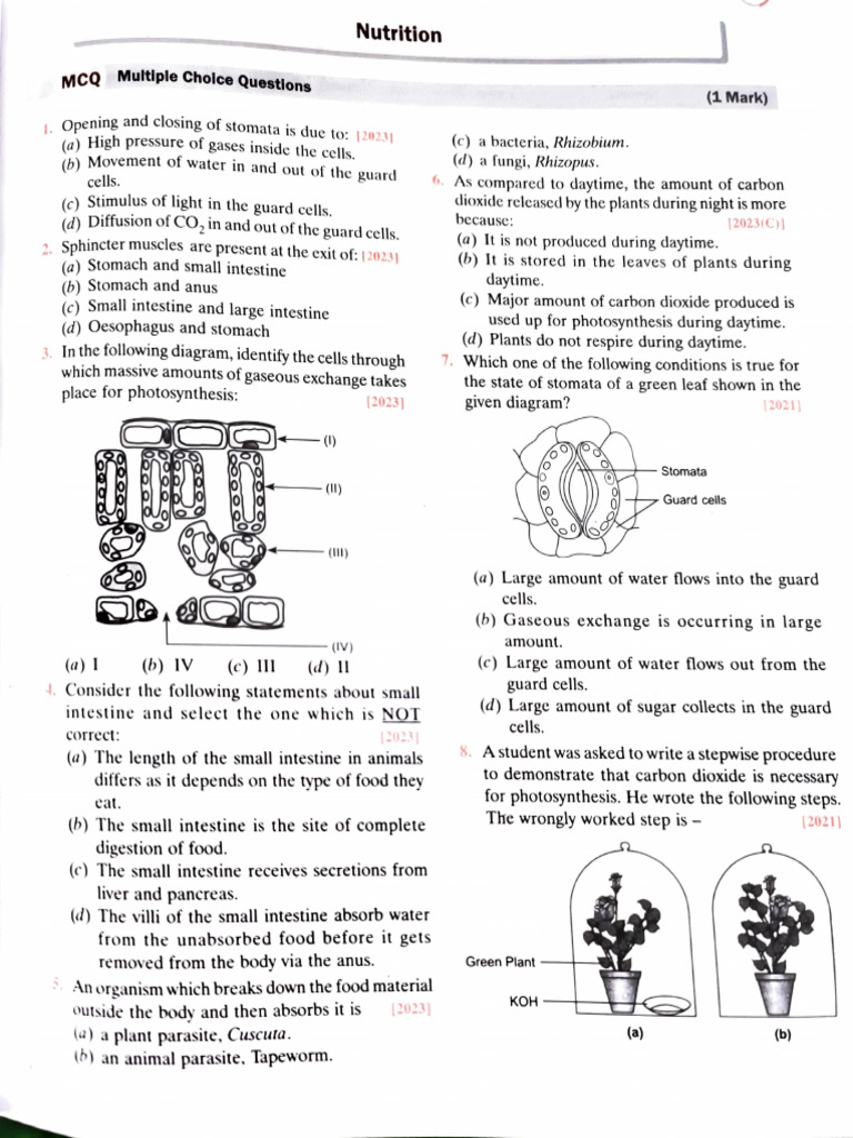 Nutrition and Photosynthesis MCQs | PDF | Cellular Respiration | Nutrition
