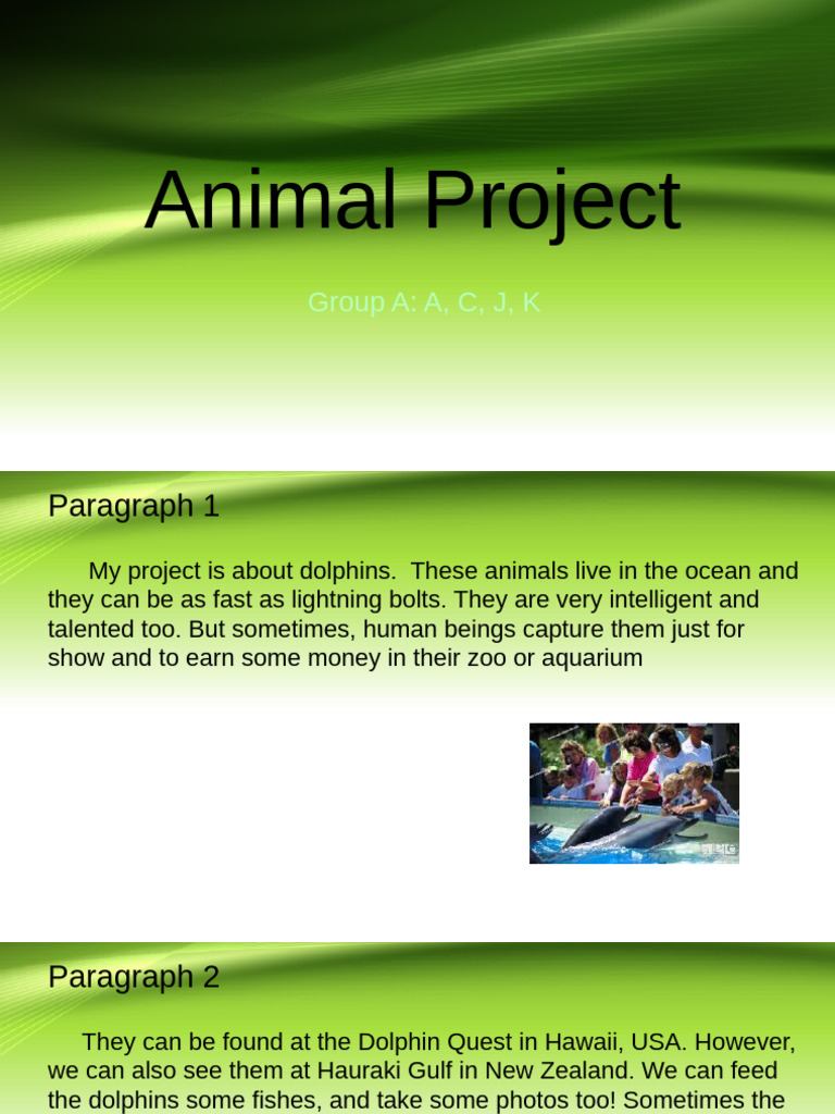 Protecting Dolphins: Issues & Solutions | PDF | Science & Mathematics