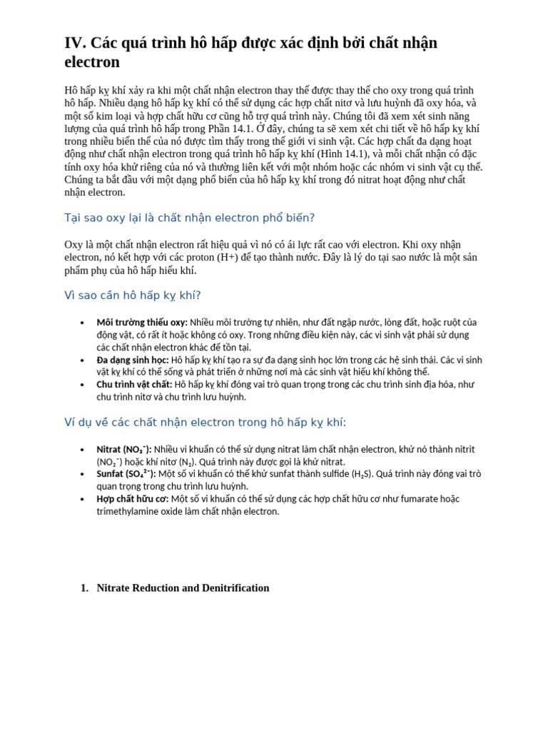 VSV Thuyết Trình | PDF