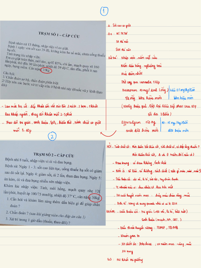 GIẢI ĐỀ NHI TAT | PDF