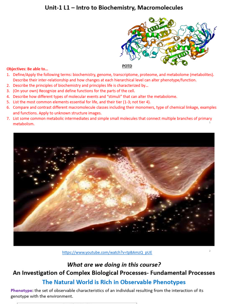 F23 - Unit-1 L1 - Intro To Biochemistry, Macromolecules - SV | PDF ...