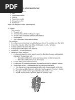 Anatomy and Physiology of the Umbilicus | PDF | Abdomen | Vein