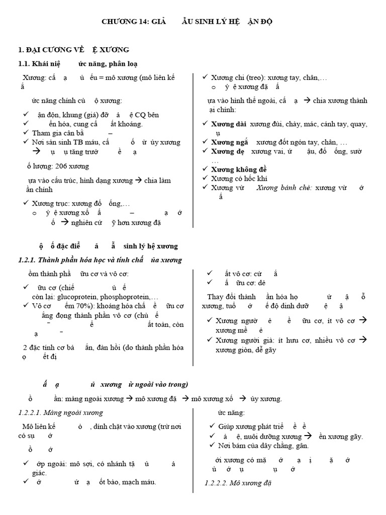 Chæ æ Ng 14 Giáº I Pháº U Sinh Lã Há Váº N ä á Ng Pdf