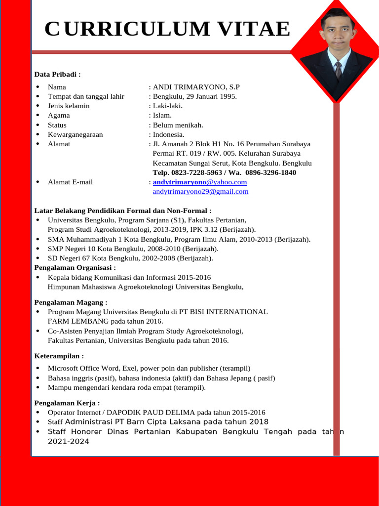 CV Dan Surat Lamaran | PDF