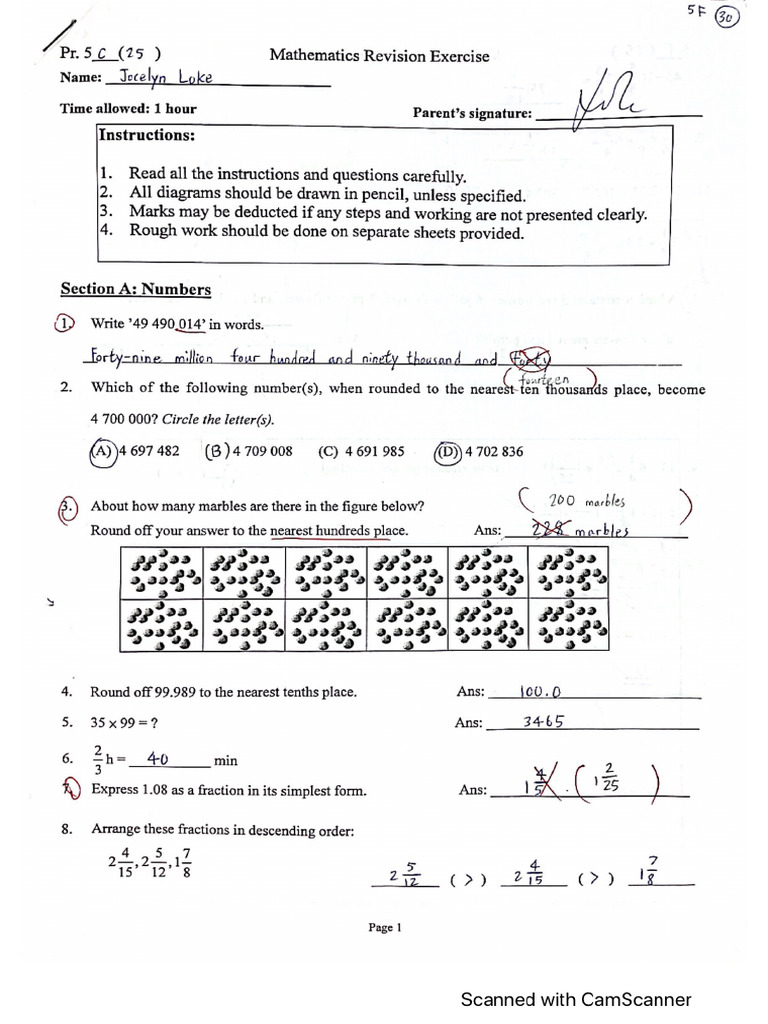 Dgjs p5 Maths Rev Ex1 | PDF