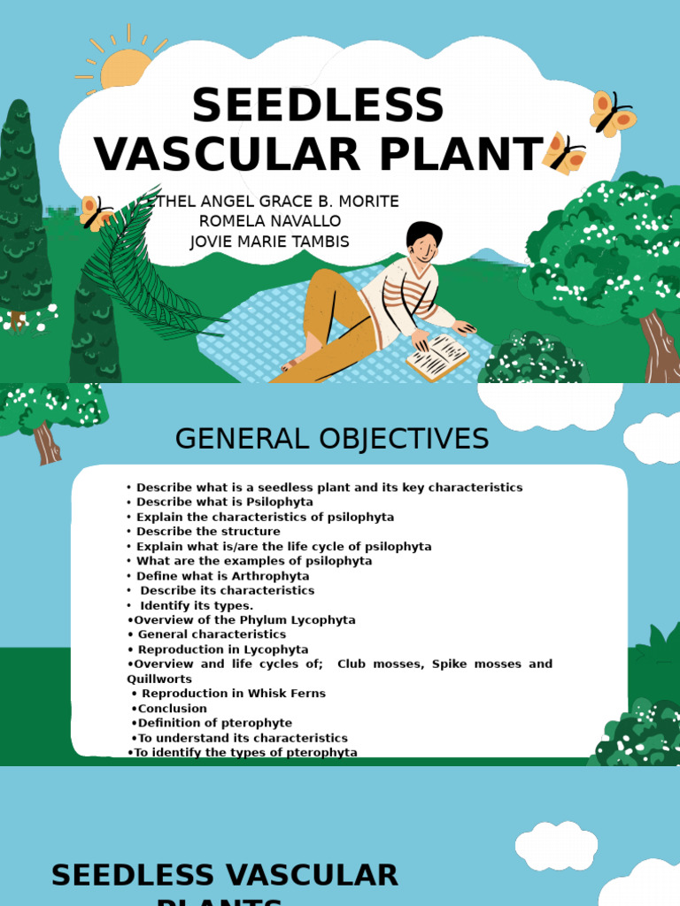 SEEDLESS VASCULAR PLANTS A | PDF | Fern | Spore