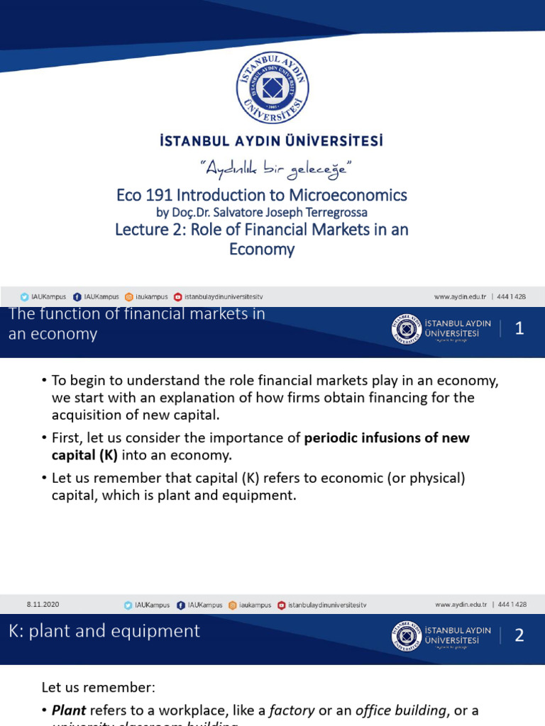 Financial Markets and Economic Growth | PDF | Debt | Financial Markets