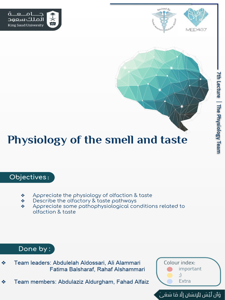 9 - Physiology of The Smell and Taste | PDF | Taste | Olfactory System