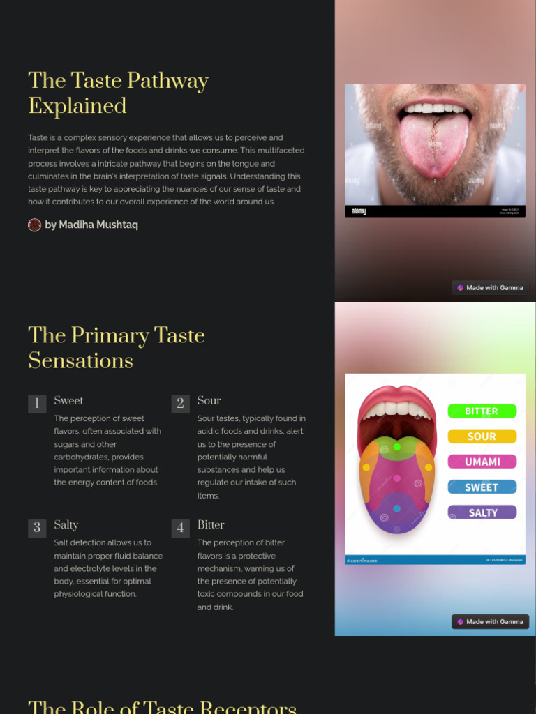 The Taste Pathway Explained | PDF | Taste | Senses