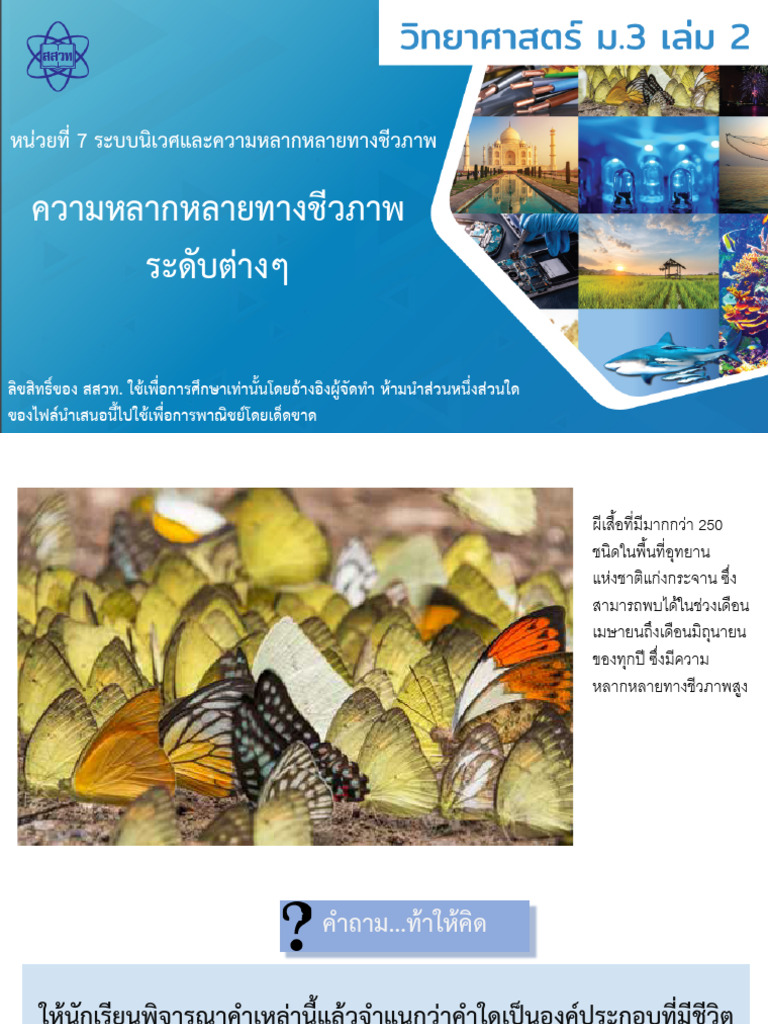 m3b2 U7 02 1diversity 002 PPT PDF | PDF