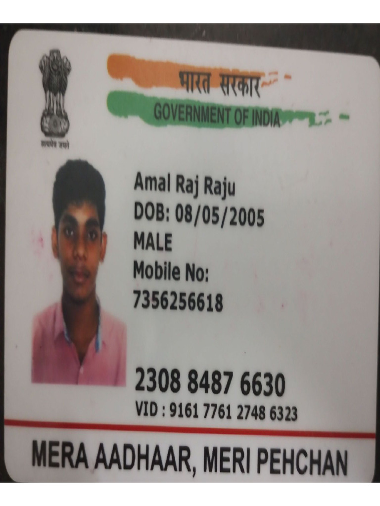 File Handler Preview | PDF