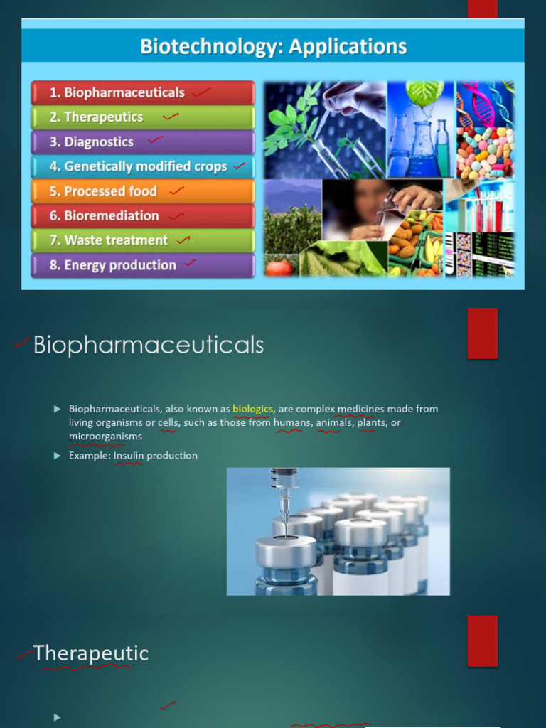 Biotechnology Application 1 | PDF | Insulin | Rna