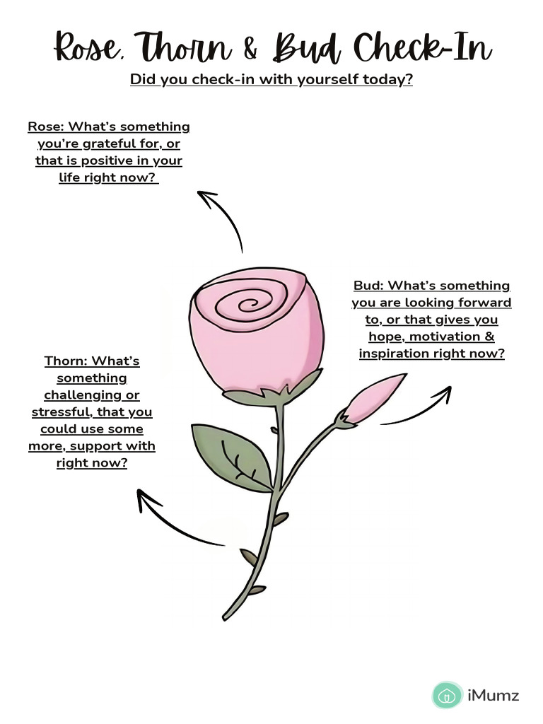 Rose, Thorn & Bud Check-In | PDF