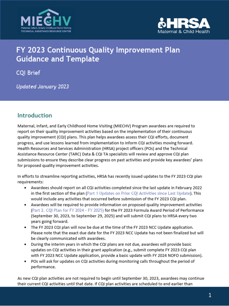 Fy 2023 Continuous Quality Improvement Plan Guidance Template | PDF | Health Equity | Goal