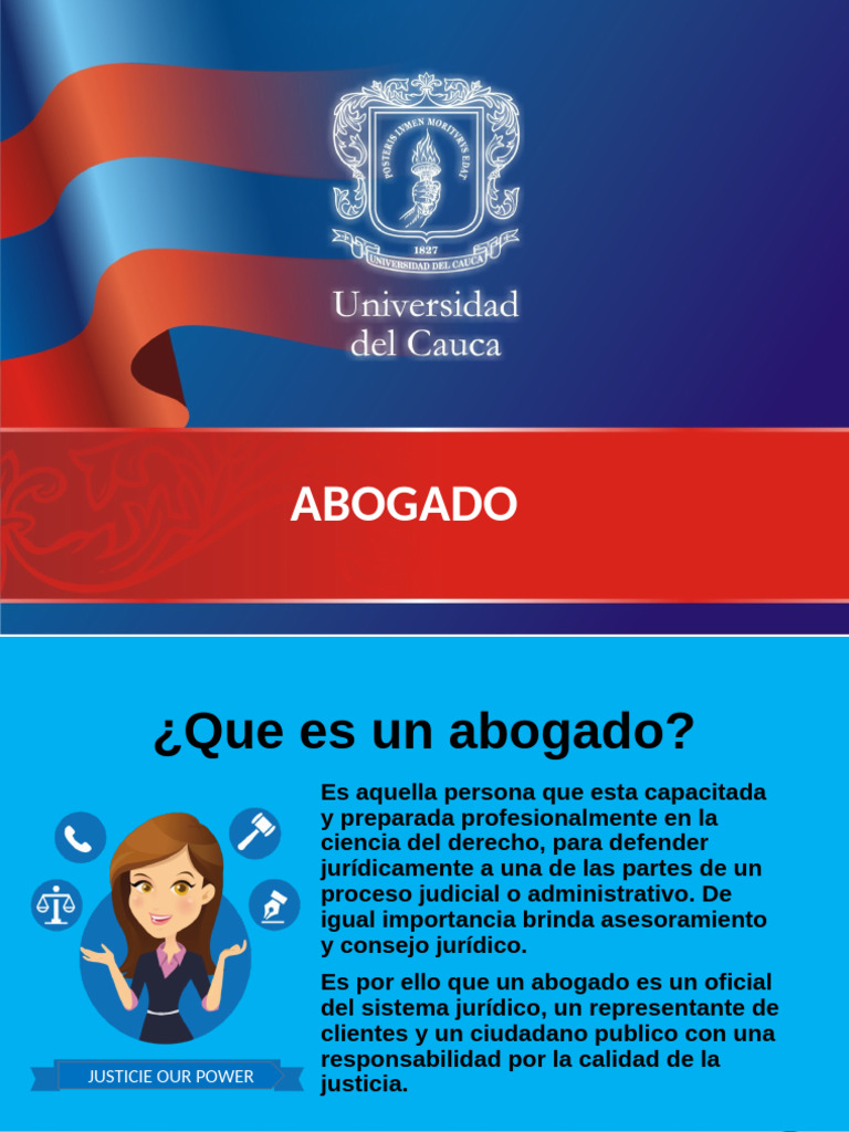 Abogado | PDF | Abogado | Gobierno