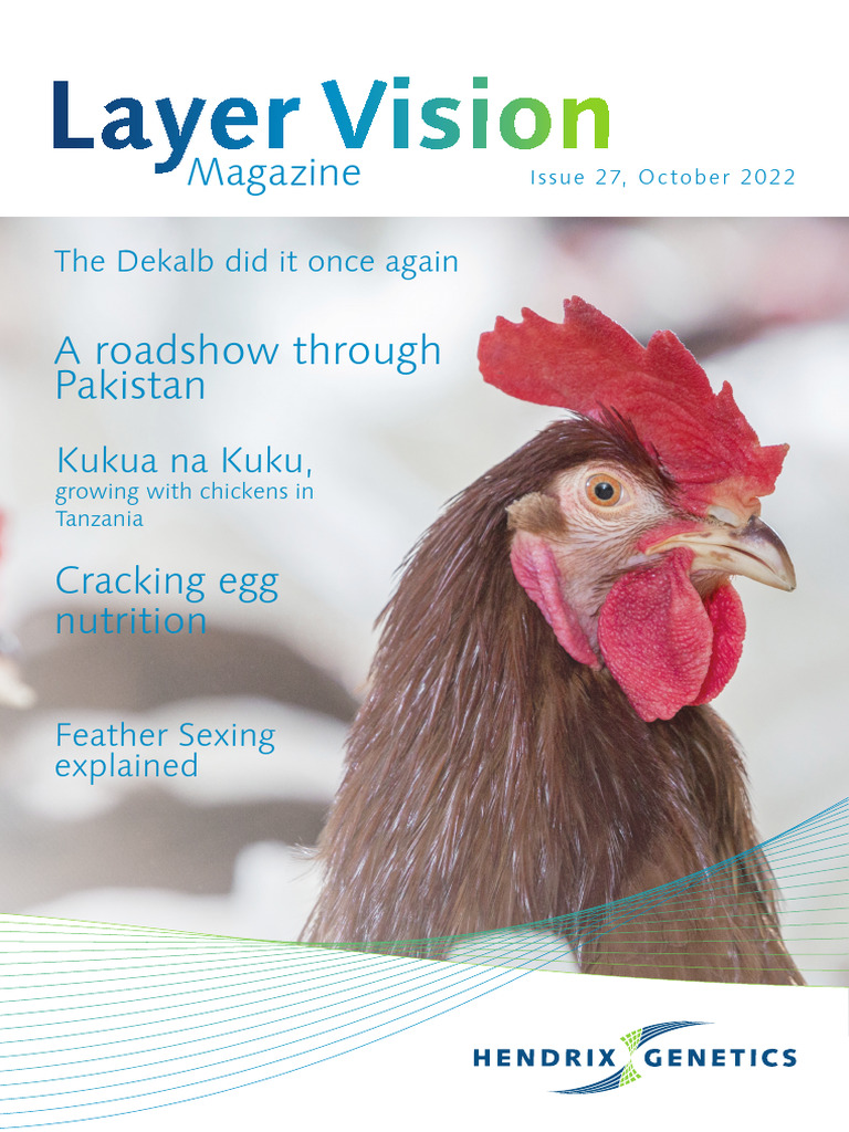 HGL Layer Vision 27 November2022 en | PDF | Chicken | Poultry Farming