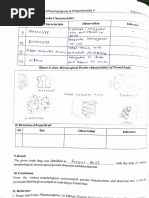 Bioassay of Oxytocin Using Interpolation Method | PDF