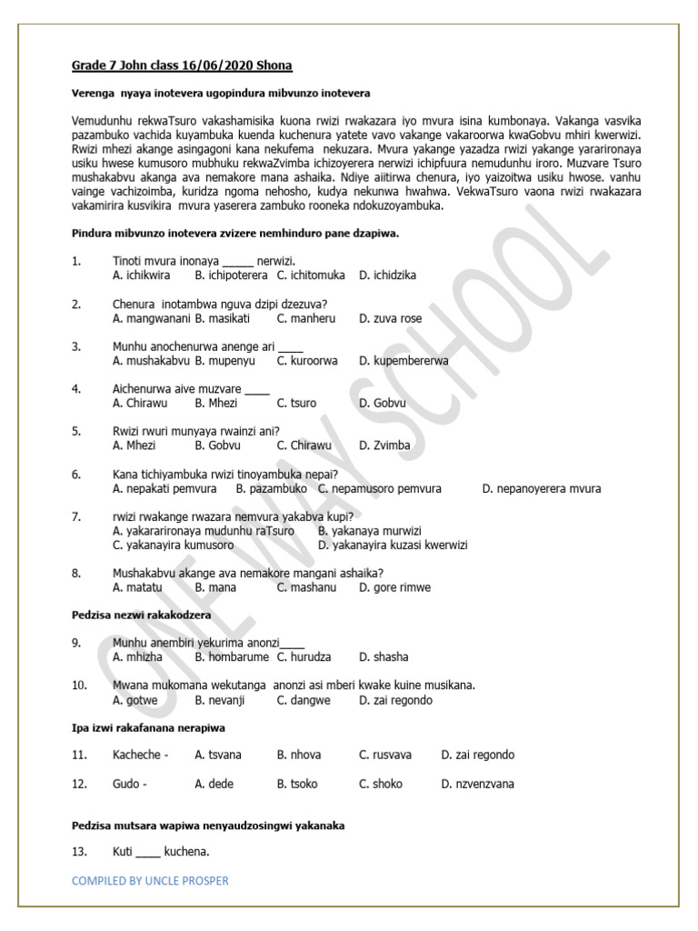 Grade 7 Shona June 16 | PDF