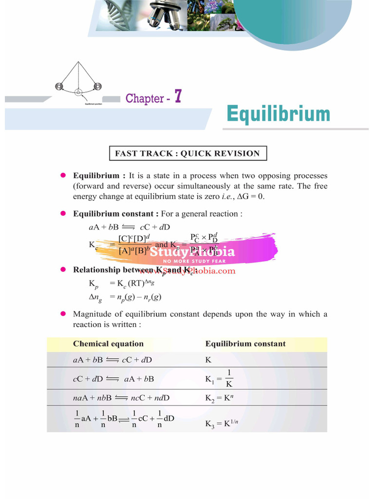 Equilibrium | PDF