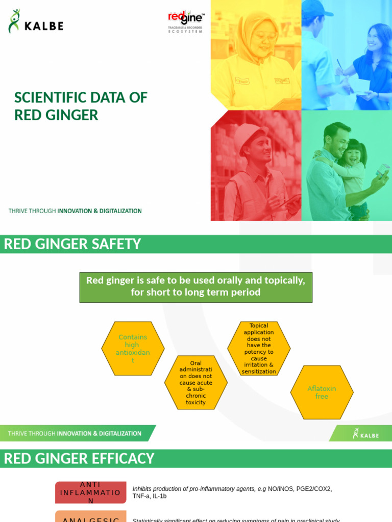 Scientific Data of Red Ginger | PDF | Dermatitis | Clinical Medicine