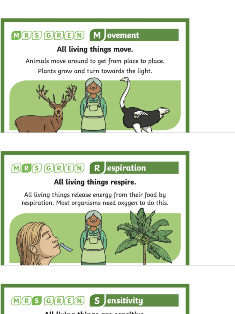 Characteristics of Life & Cells | PDF