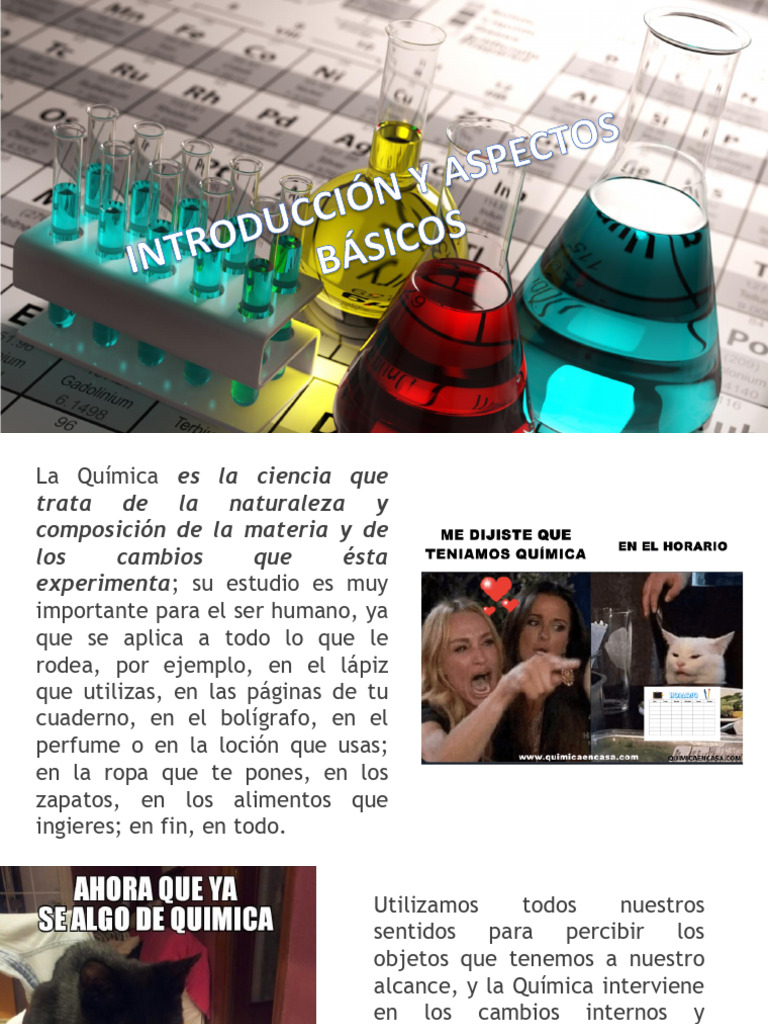 Tema 1 Introducción y Aspectos Básicos | PDF | Importar | Química