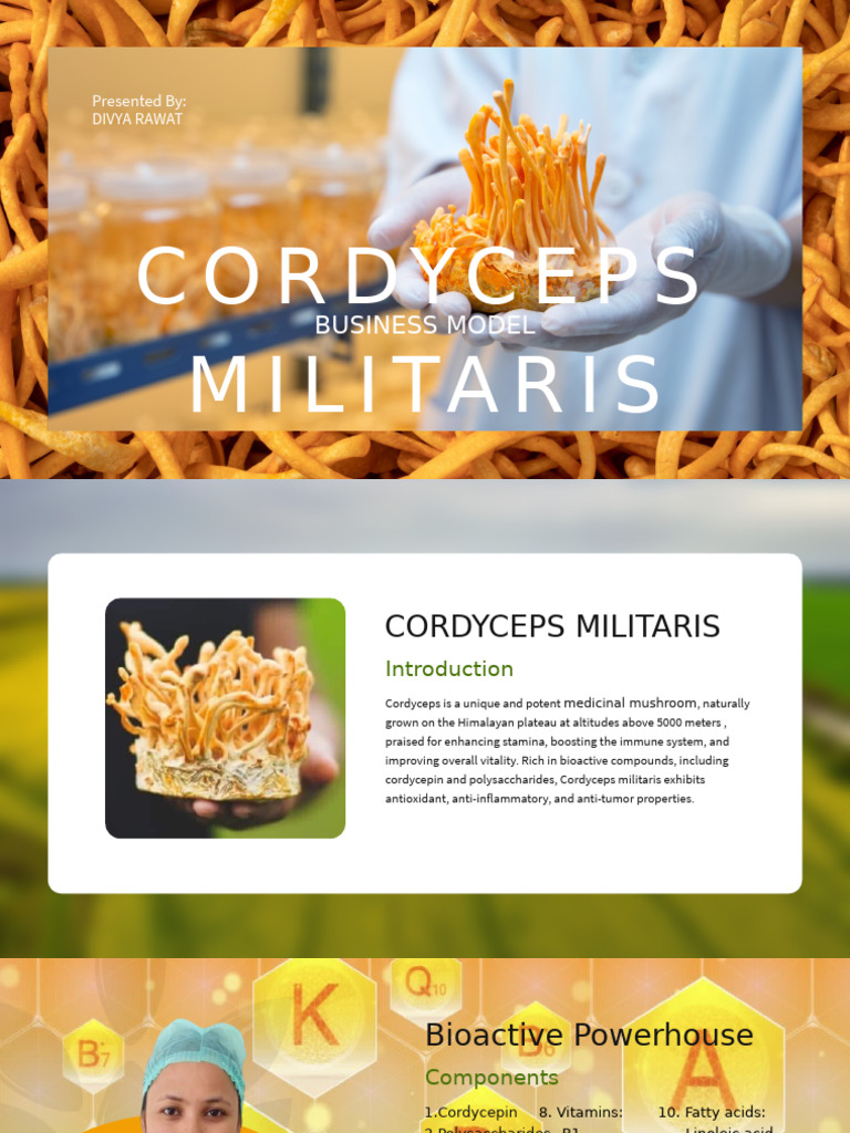 Cordyceps Business Presentation by Divya Rawat | PDF | Anti Inflammatory | Fatty Acid