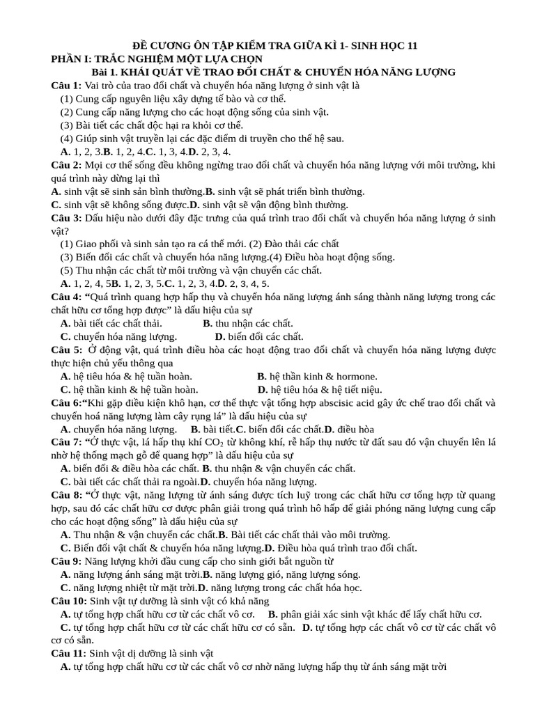 Đề Cương Gki 11 2024 2025 | PDF