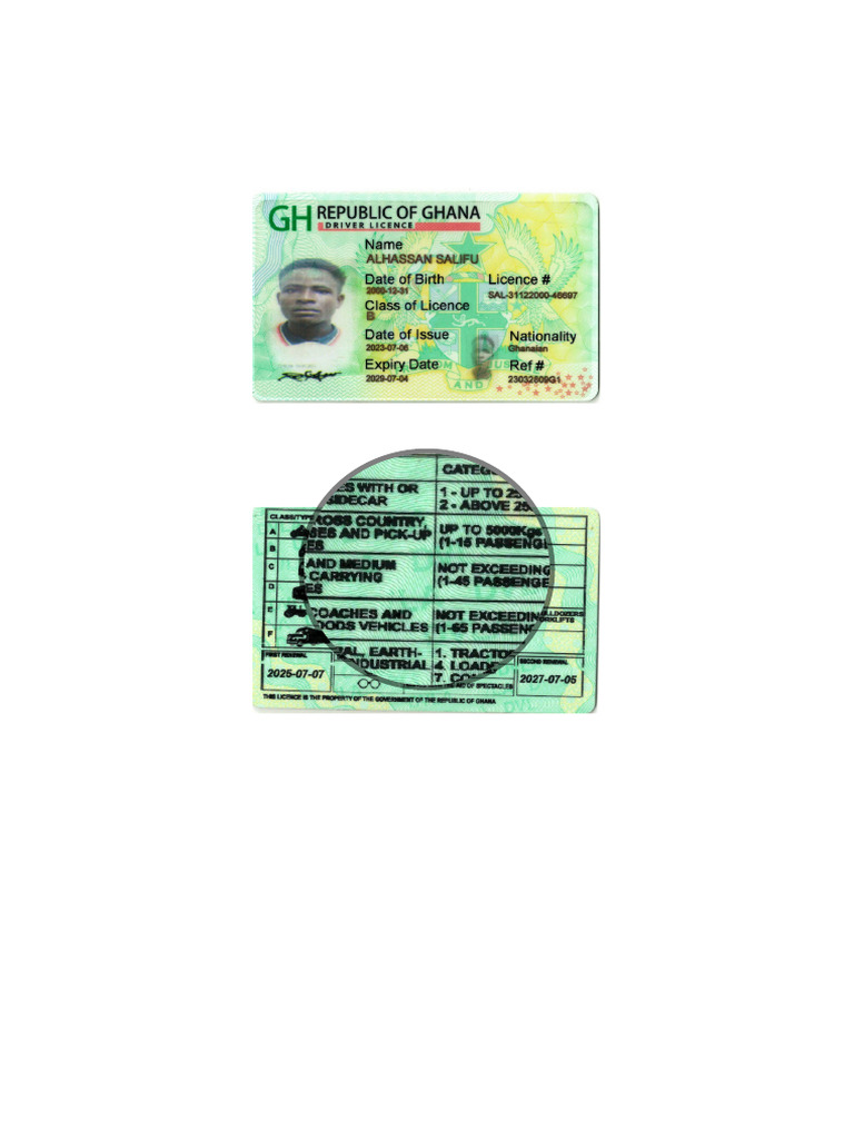 Driver Licence | PDF
