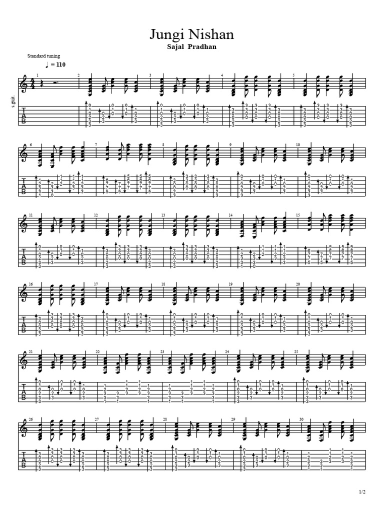 Jungi Nishan | PDF