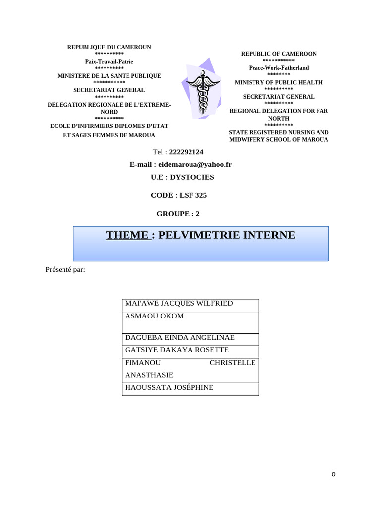 Pelvimétrie Interne : Guide Complet | PDF | Bassin (anatomie) | Vertèbre