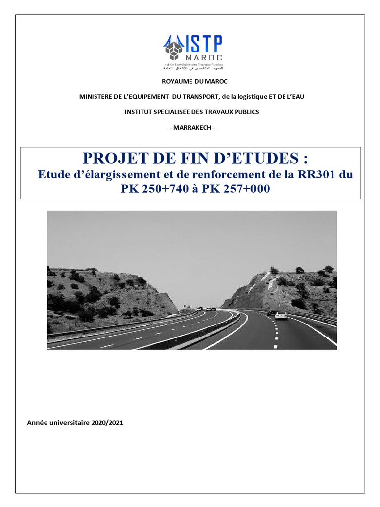 Rapport Pfe | PDF | Affaires