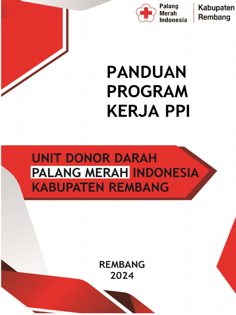 PANDUAN PROGRAM KERJA PPI Okkk | PDF