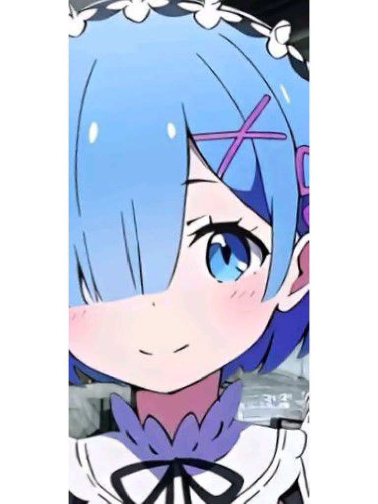 Rem | PDF