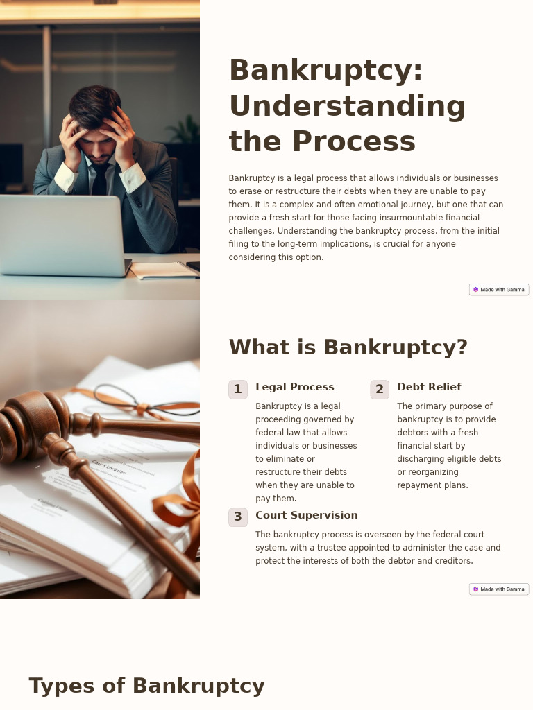 Bankruptcy Process Explained: A Guide | PDF