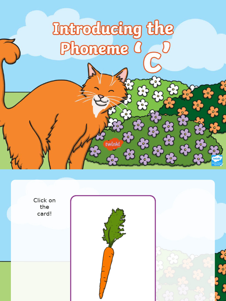 Introducing C - Interactive | PDF