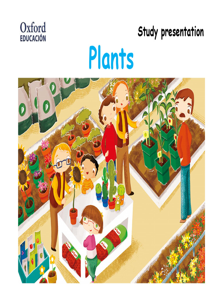 Plants Presentation | PDF