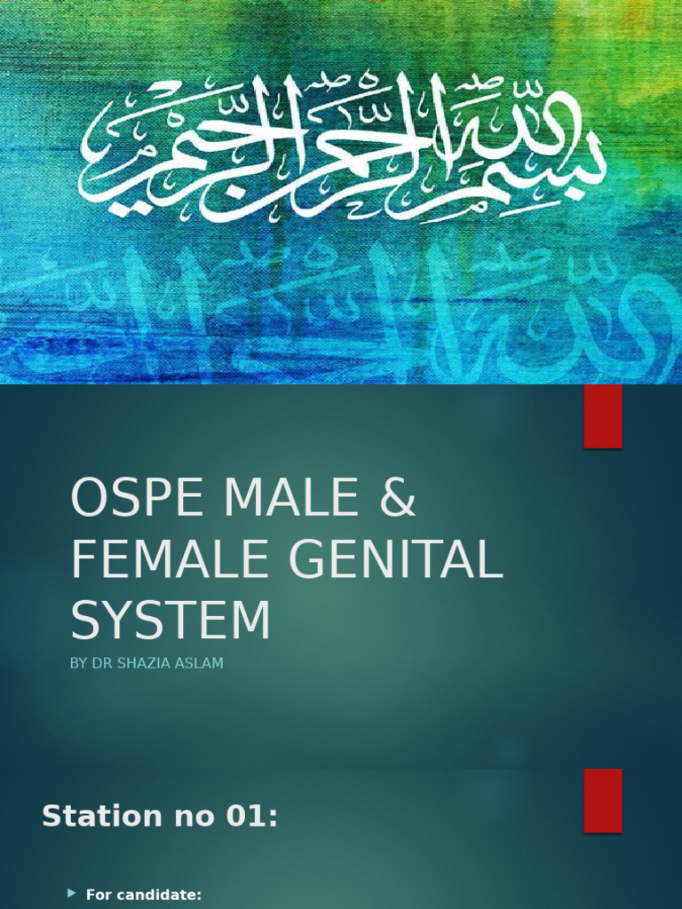 Ospe Male Genital System-1 | PDF | Medical Specialties | Clinical Medicine