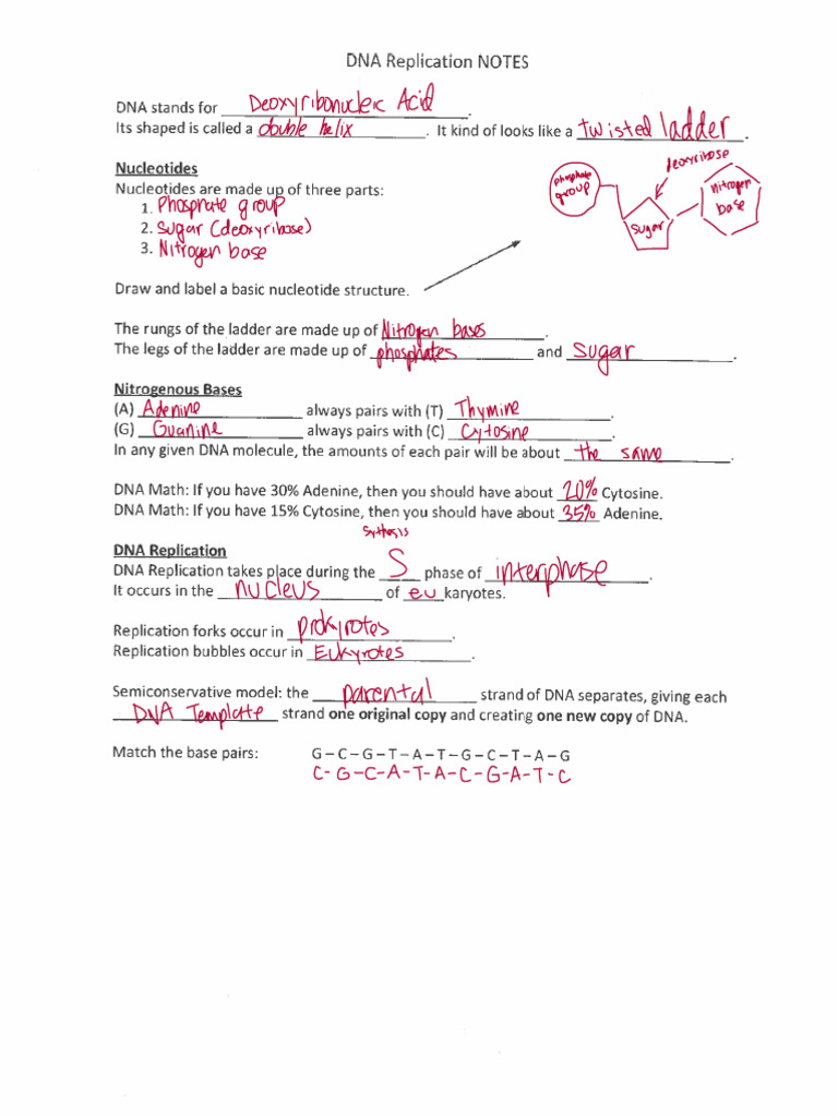 Replication Notes Processing | PDF