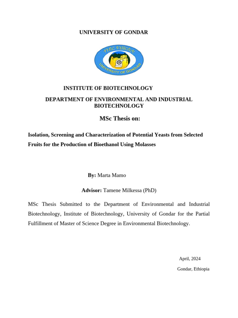 Marta MSC Final Theise - RR | PDF | Yeast | Biofuel