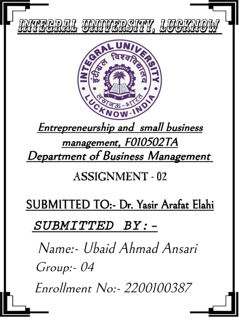 Entrepreneurship Assignment 2 | PDF