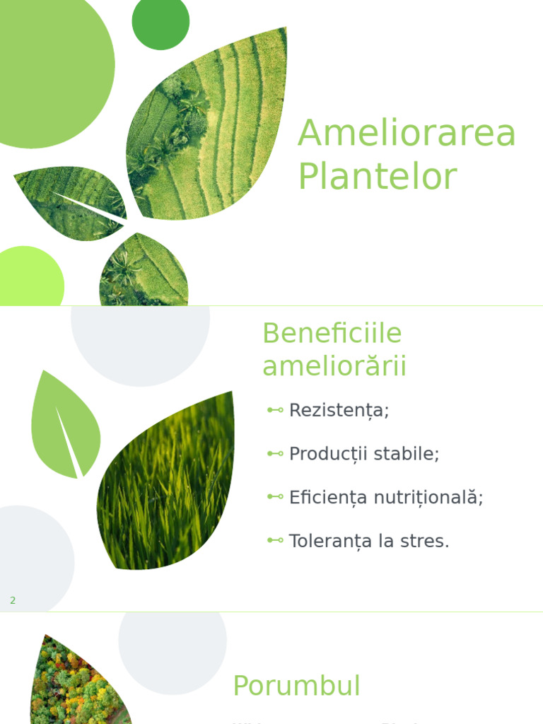 Solanio SlidesCarnival | PDF | Color | Blue