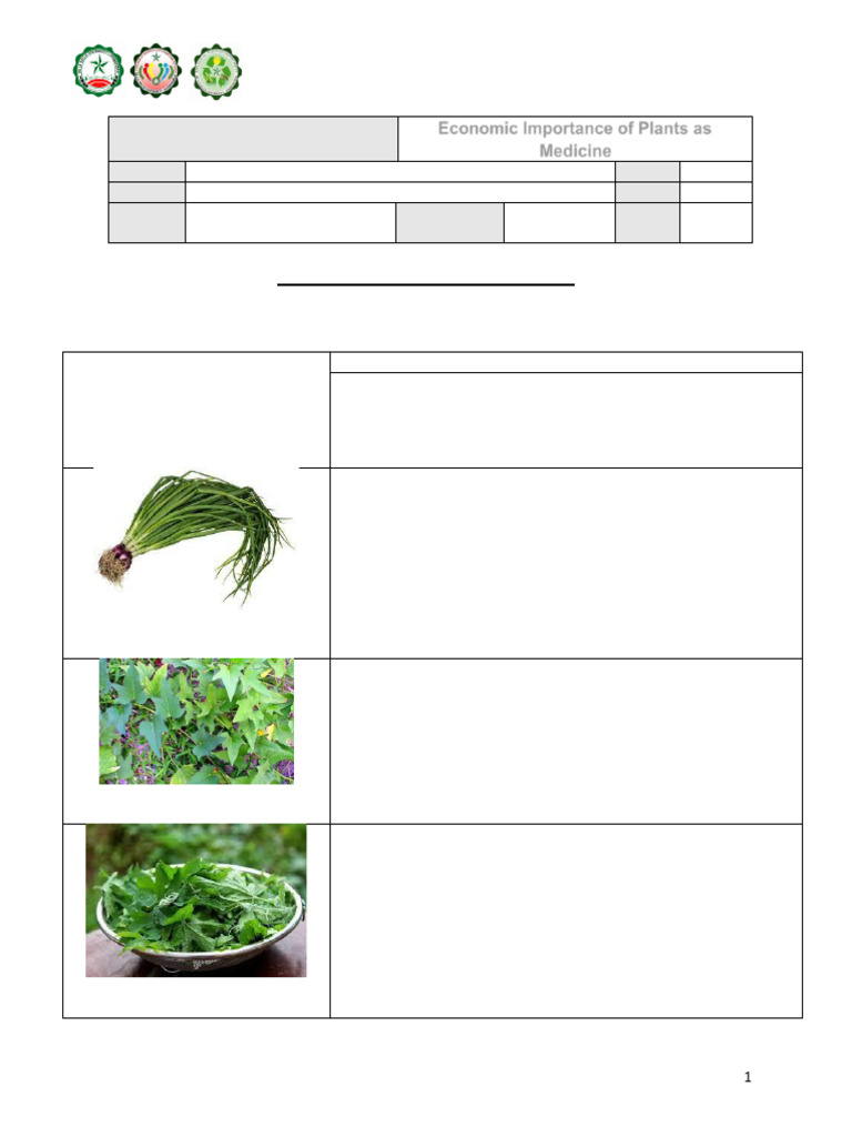 Enabling Assessment 11-BIOLAB | PDF | Leaf | Onion Enabling Assessment 11-BIOLAB | PDF | Leaf | Onion