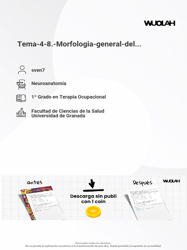 Wuolah Free Tema 4 8. Morfologia General Del Encefalo y Del Tronco Del Encefalo | PDF | Cerebelo ...