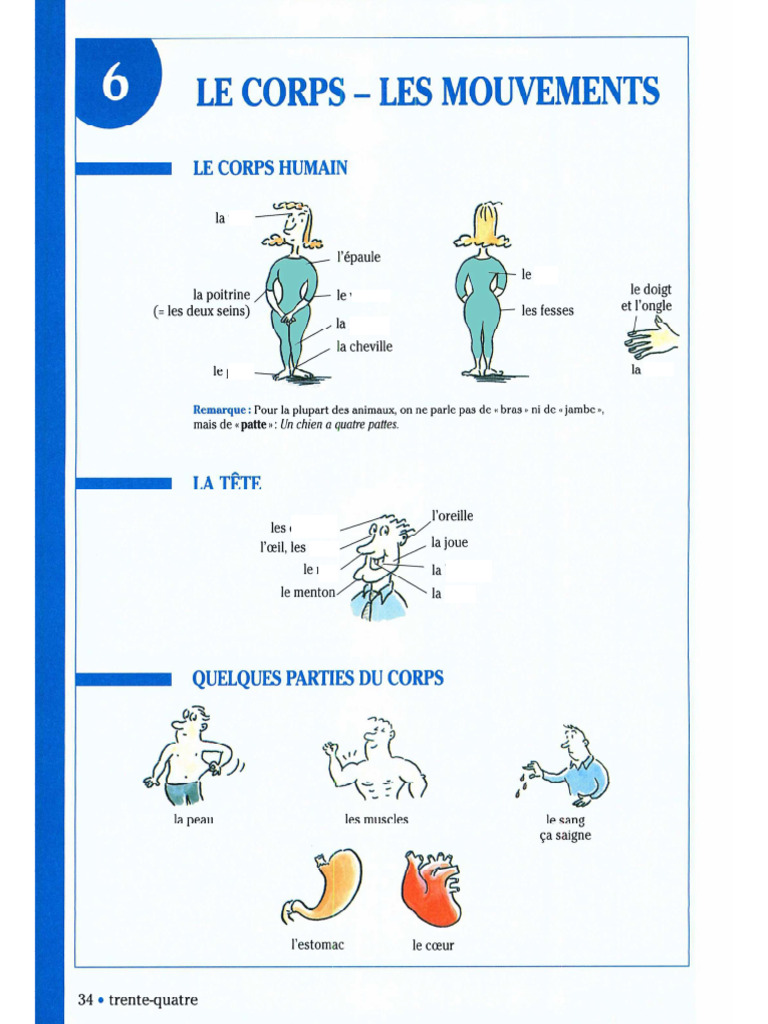 VPF A1-34-41 Le Corps La Santé | PDF