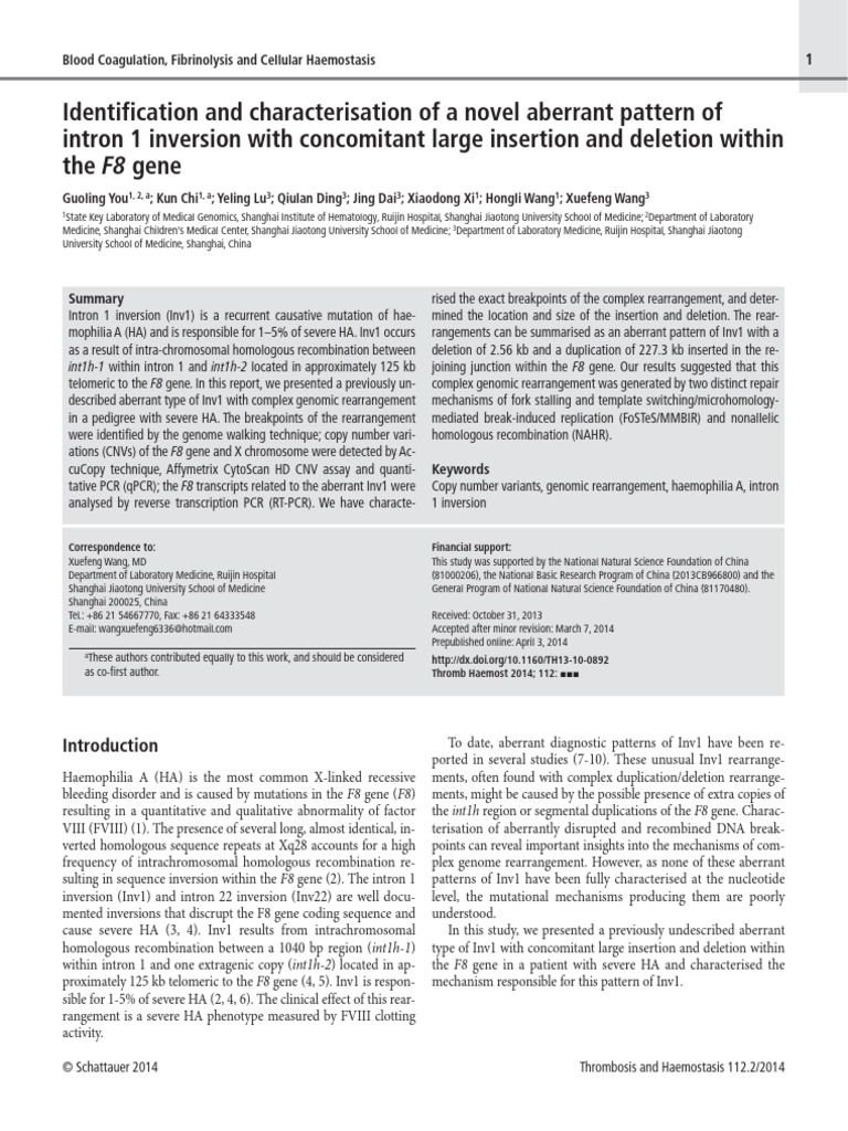 Identification and Characterisation of A Novel Aberrant Pattern of Intron 1 Inversion With ...