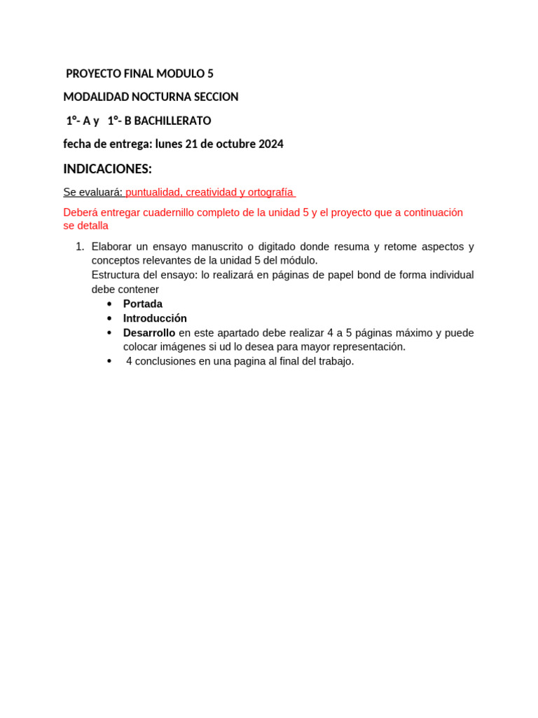 Proyecto Modulo 5 Primer Año Nocturna 2024 | PDF