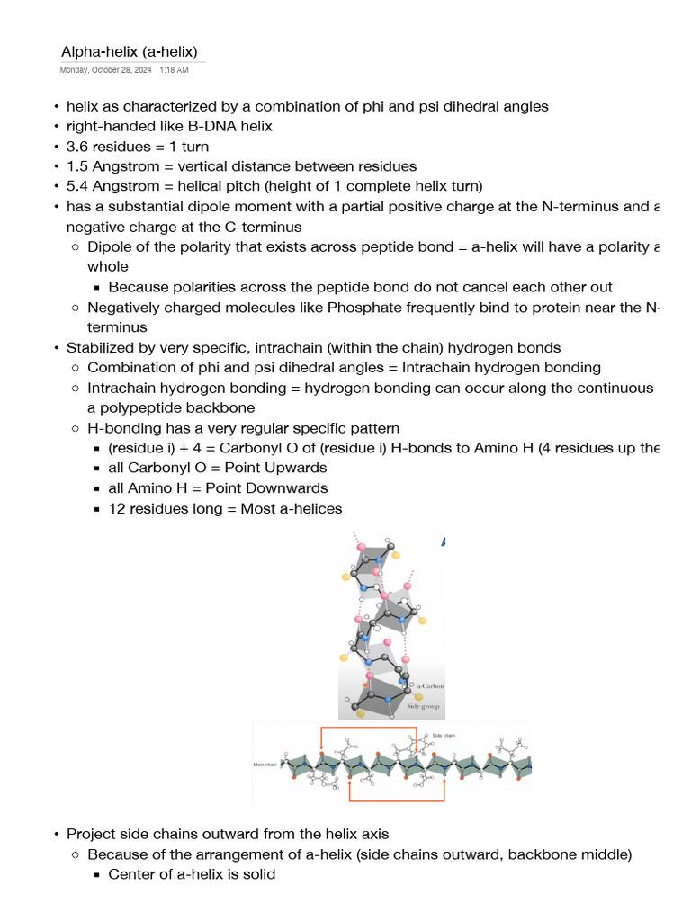 (A-Helix) Secondary Level of Protein Structure | PDF